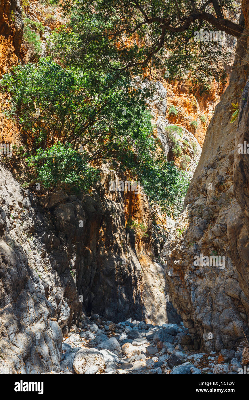 Kritsa Gorge near Agios Nikolaos on Crete, Greece Stock Photo - Alamy