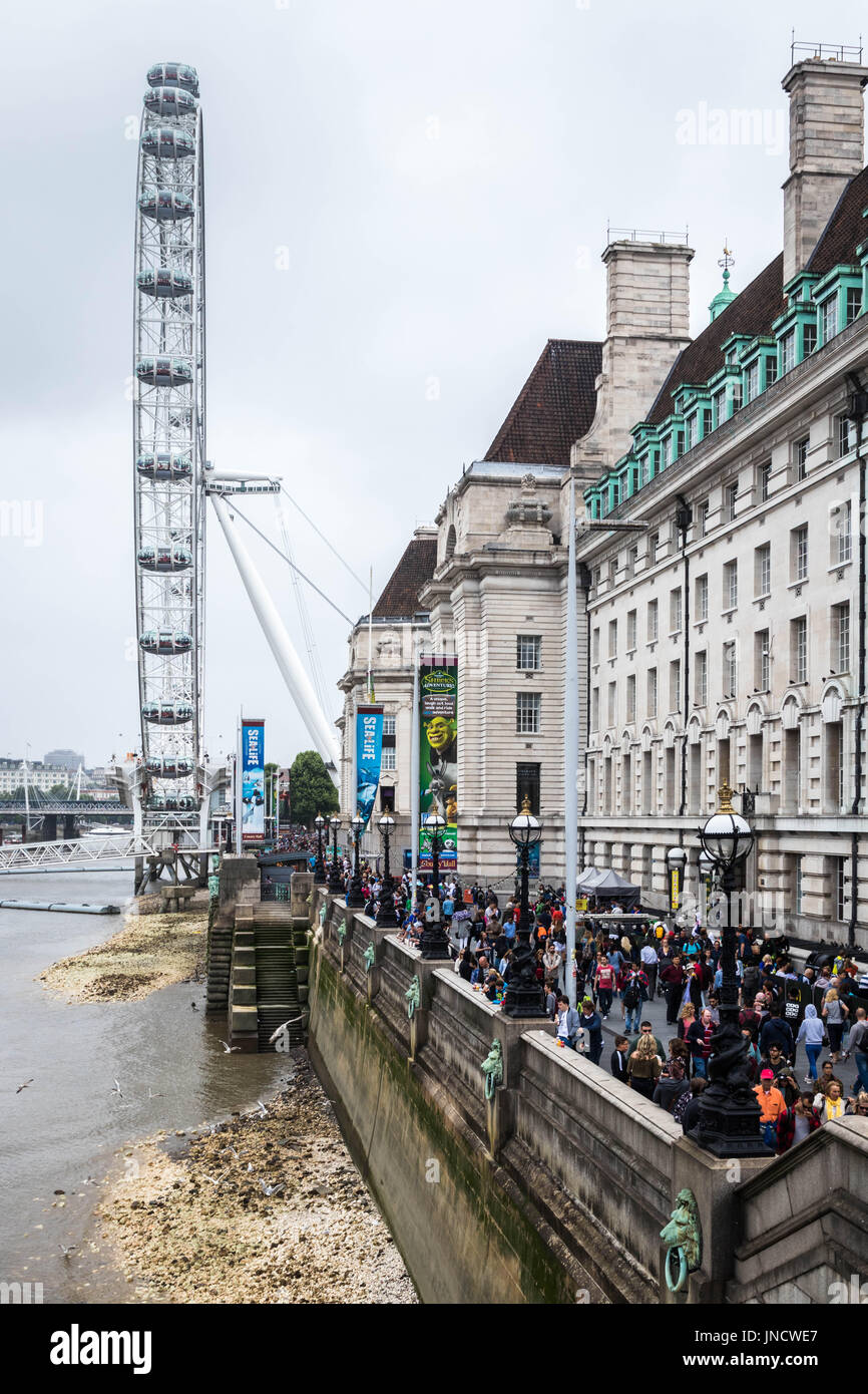 Structure of the eye hi-res stock photography and images - Alamy