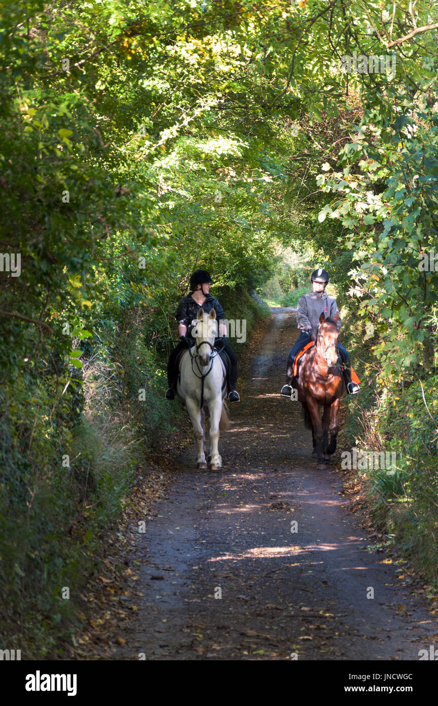 Horse lane bath hi-res stock photography and images - Alamy