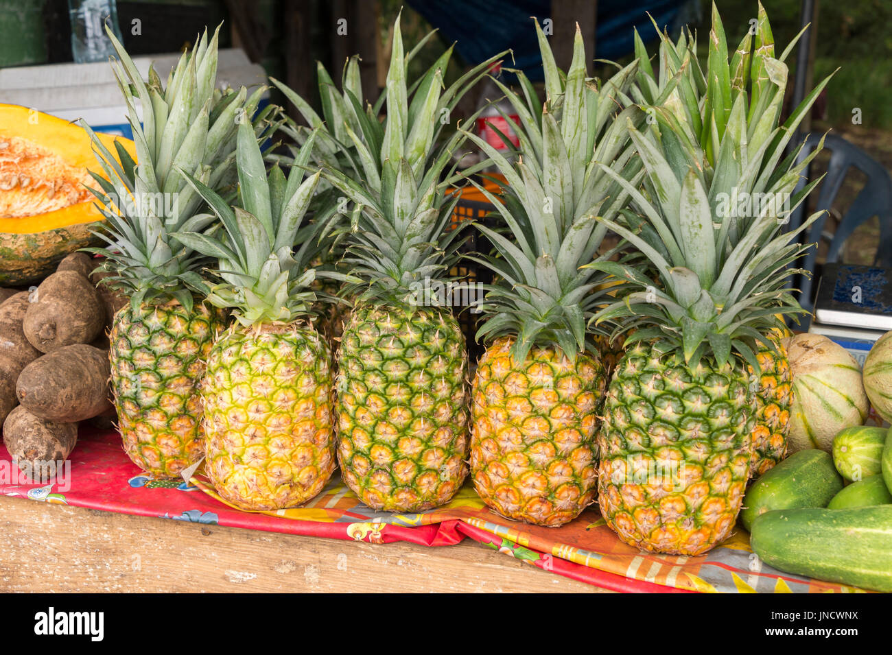 Pineapples for sale hi-res stock photography and images - Alamy
