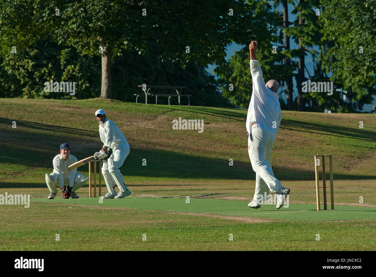Playing Cricket High Resolution Stock Photography and Images - Alamy