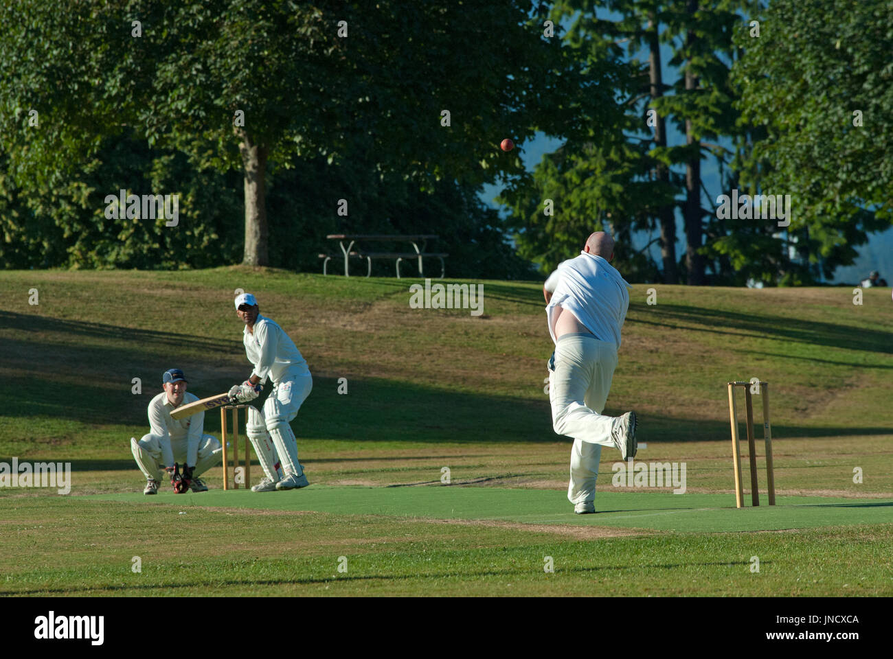 Men cricket player hi-res stock photography and images - Alamy
