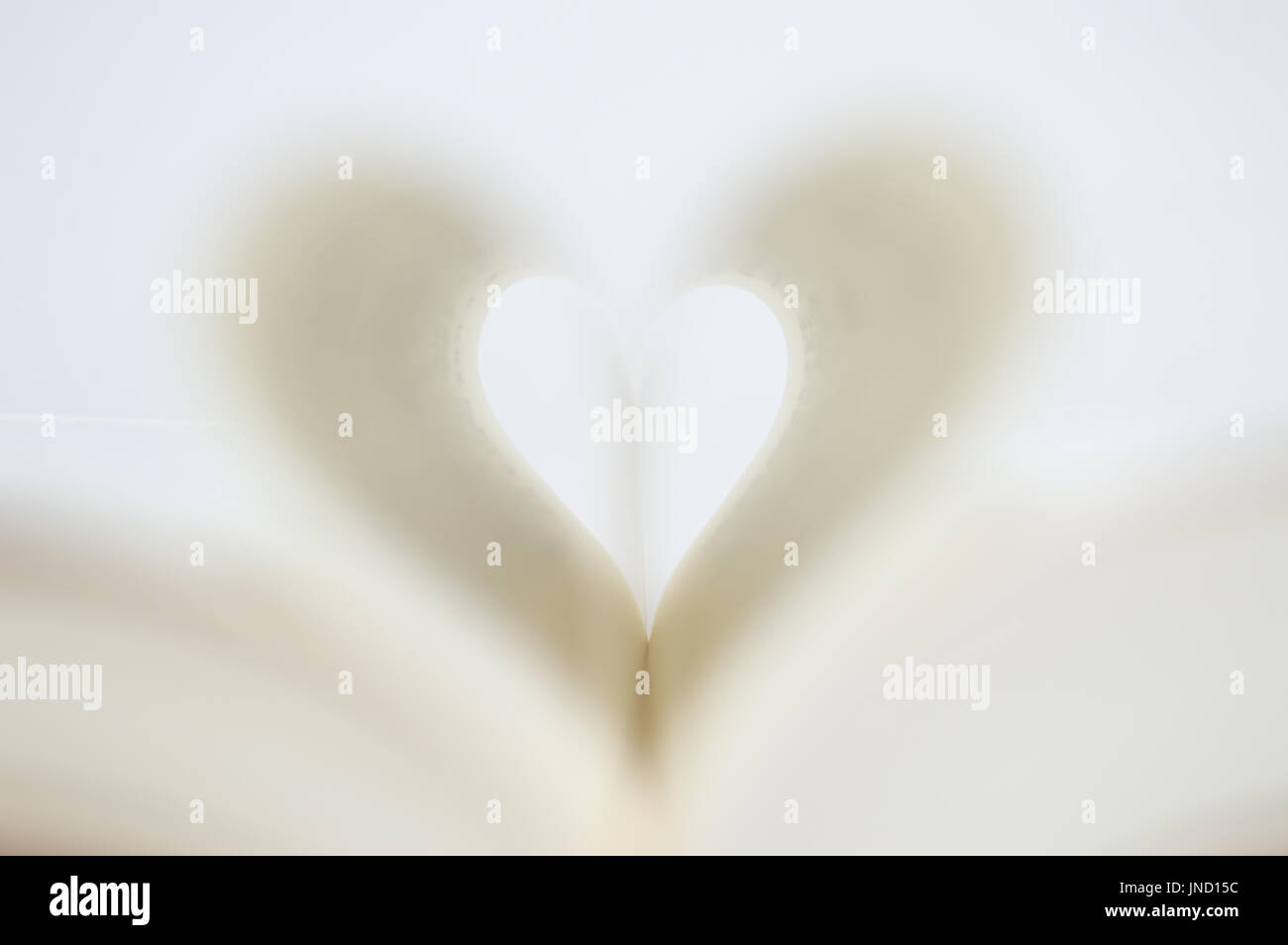 Pages of a book forming the shape of the heart Stock Photo - Alamy