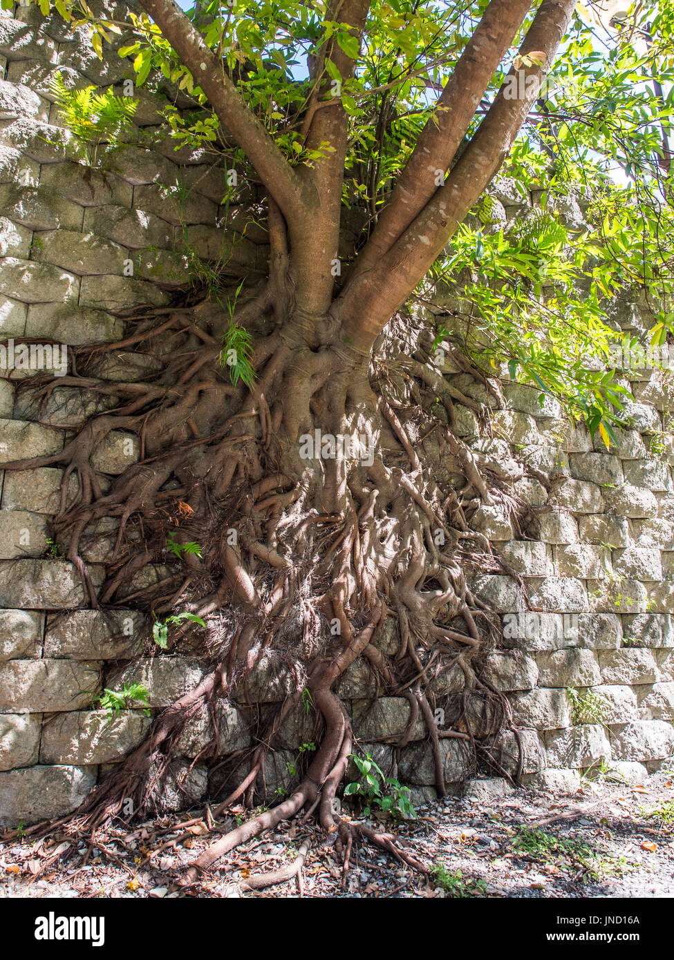 Narural hi-res stock photography and images - Alamy