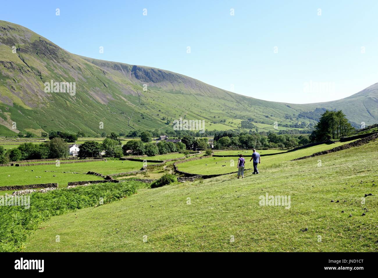 Wasdale Head , Wasdale Lake District Cumbria UK Stock Photo - Alamy