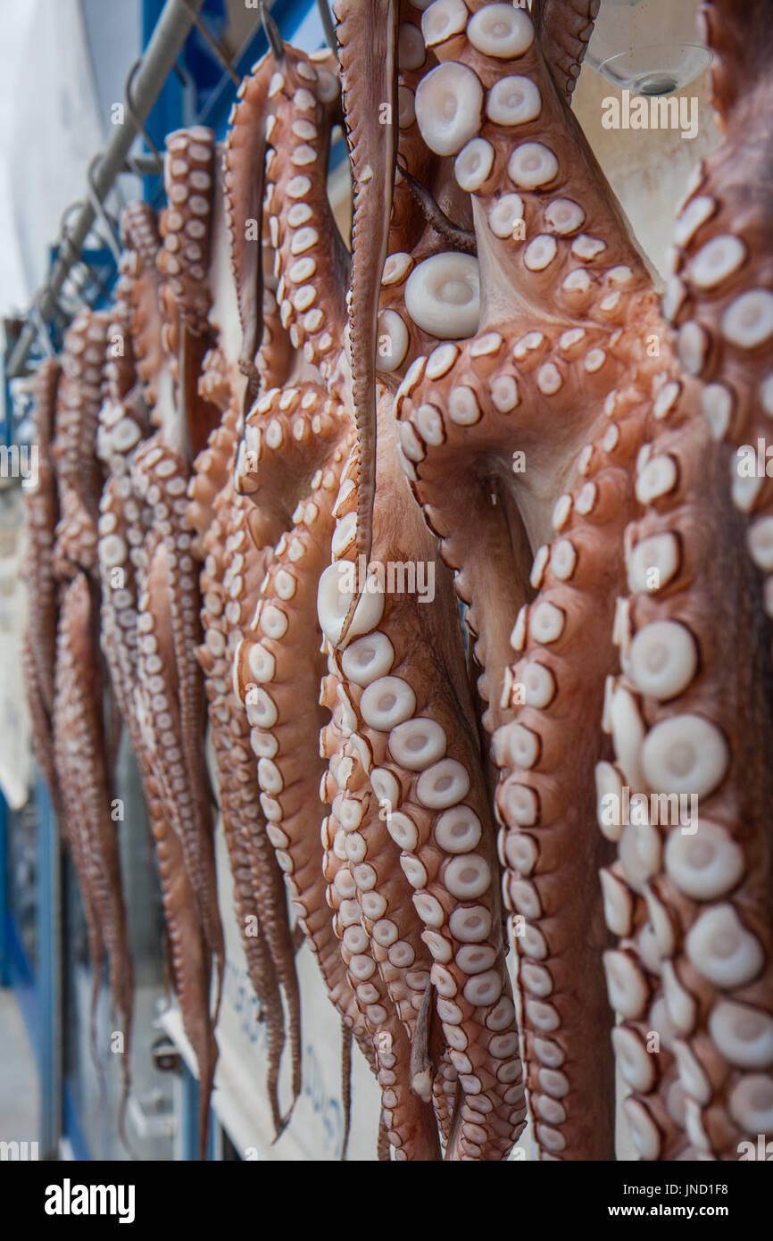 Octopus dumplings hi-res stock photography and images - Alamy