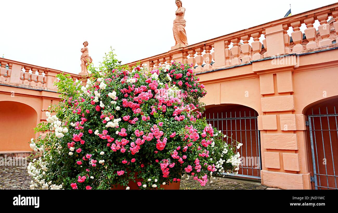 Schloss Rastatt or Residenzschloss Rastatt, Germany Stock Photo - Alamy