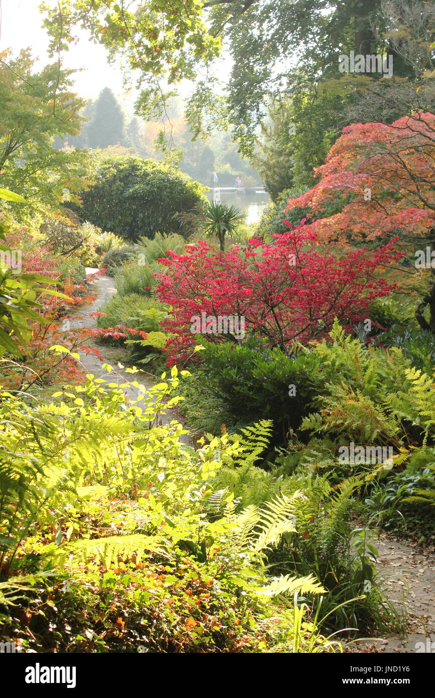 Stunning japanese garden hi-res stock photography and images - Alamy