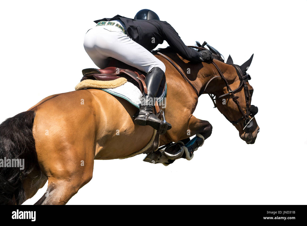 Equestrian Sports, Horse Jumping Event, Isolated on White Background ...