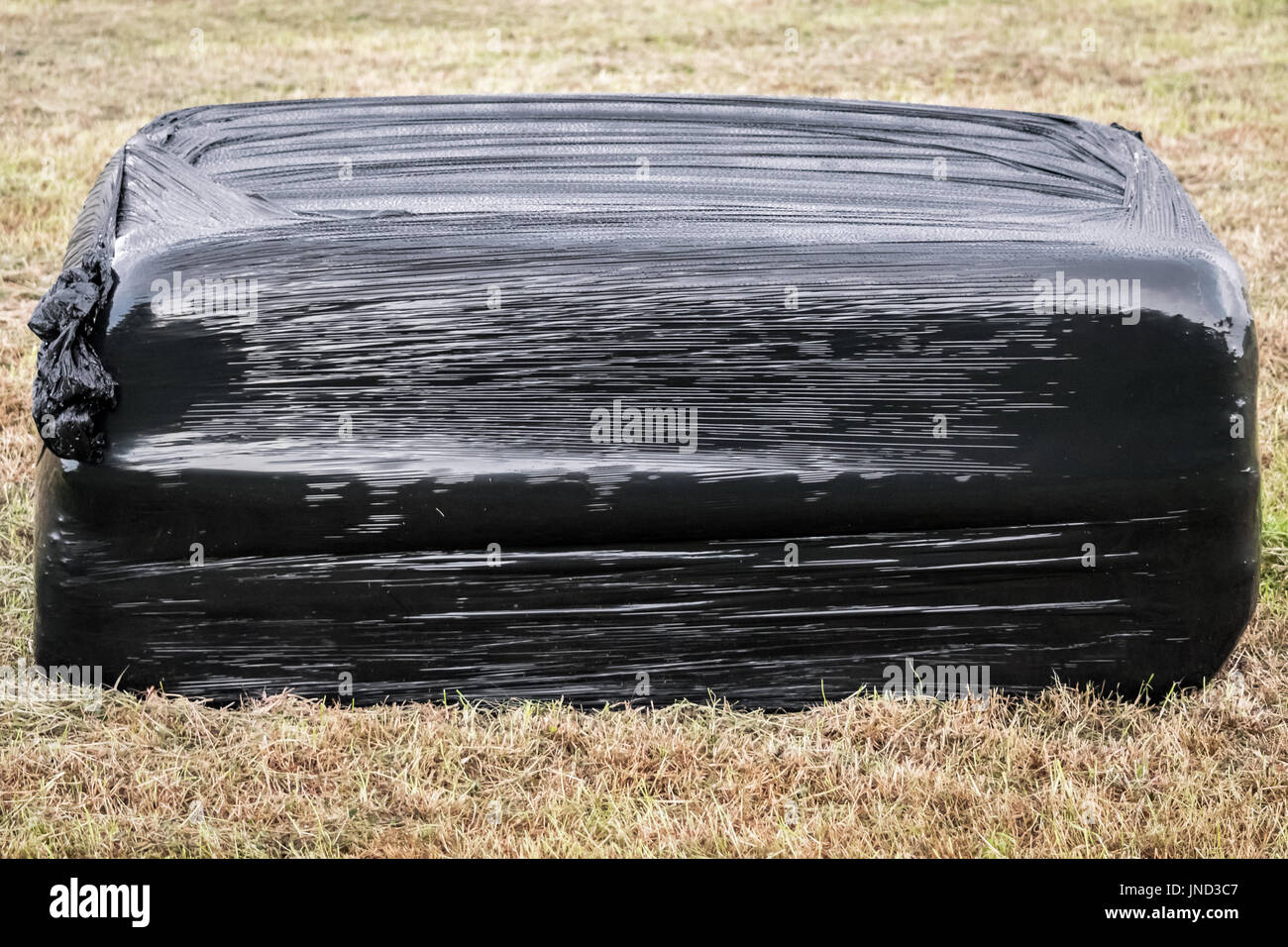 Square Black Silage Bale Stock Photo - Alamy