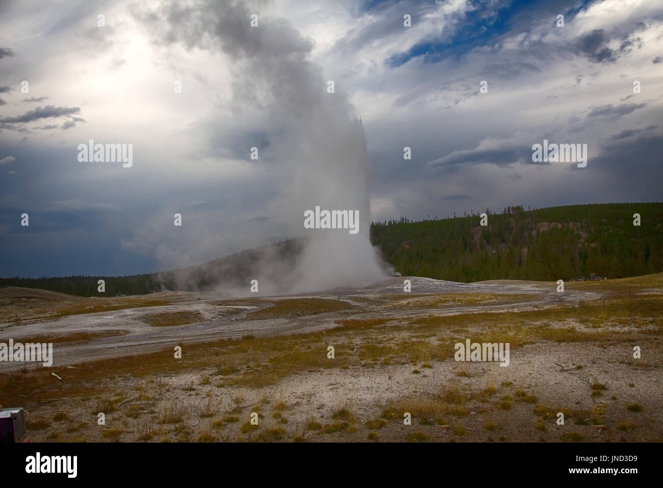 Old faithful erupting hi-res stock photography and images - Alamy