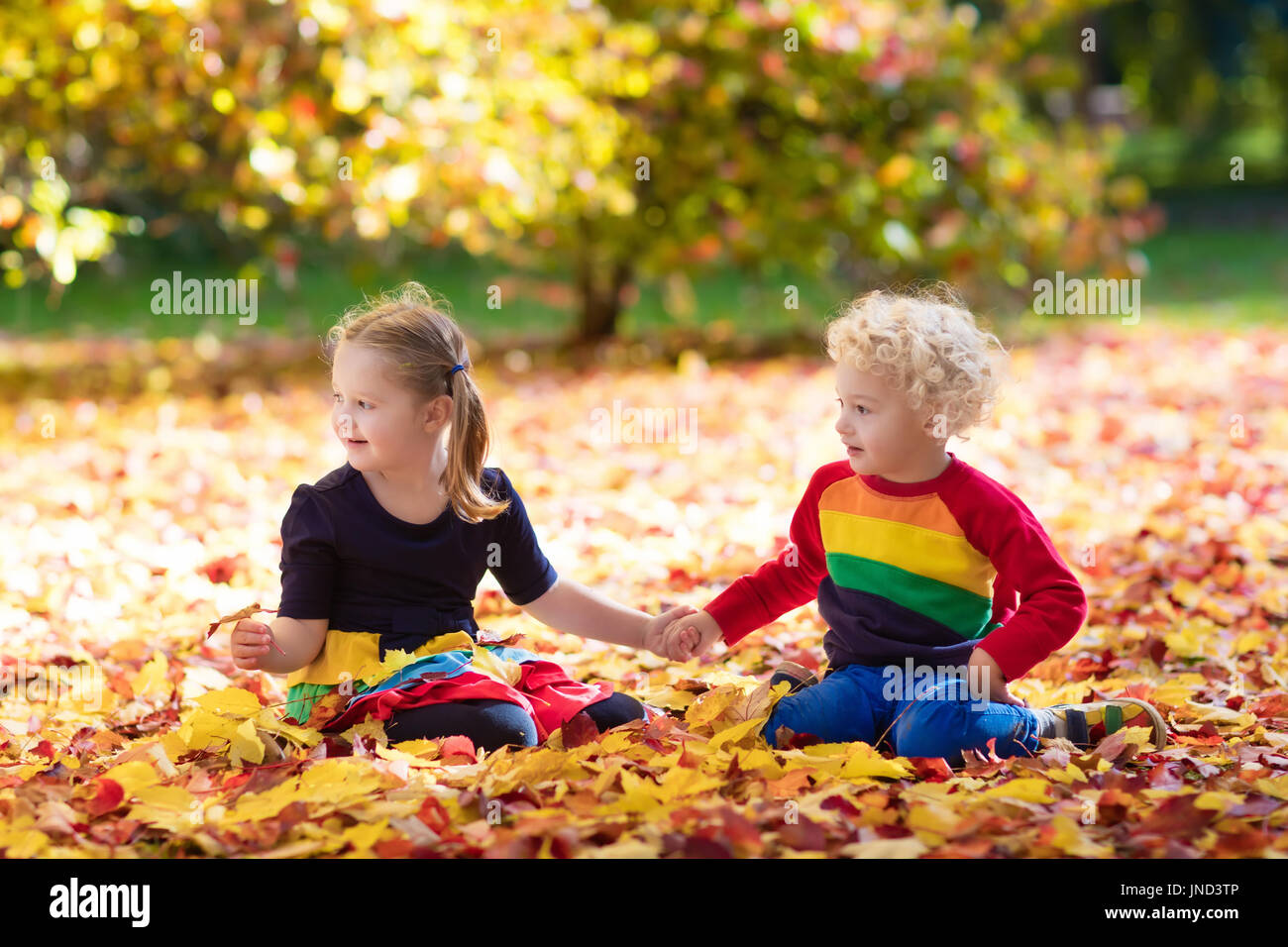 Kids play in autumn park. Children throwing yellow maple leaves. Boy ...