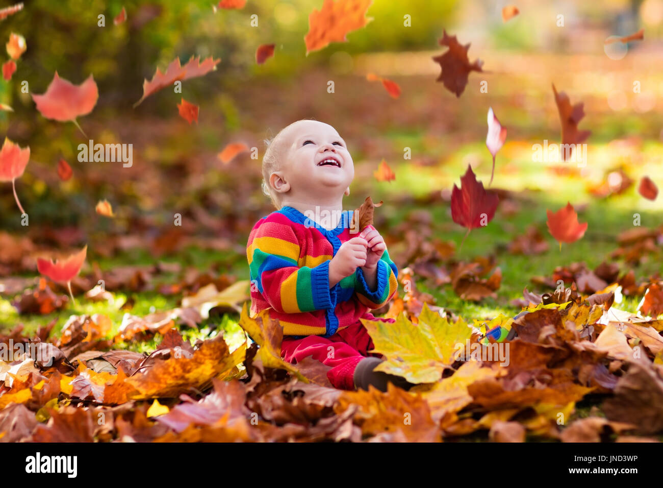 Kids play in autumn park. Children throwing yellow and red leaves.Baby ...