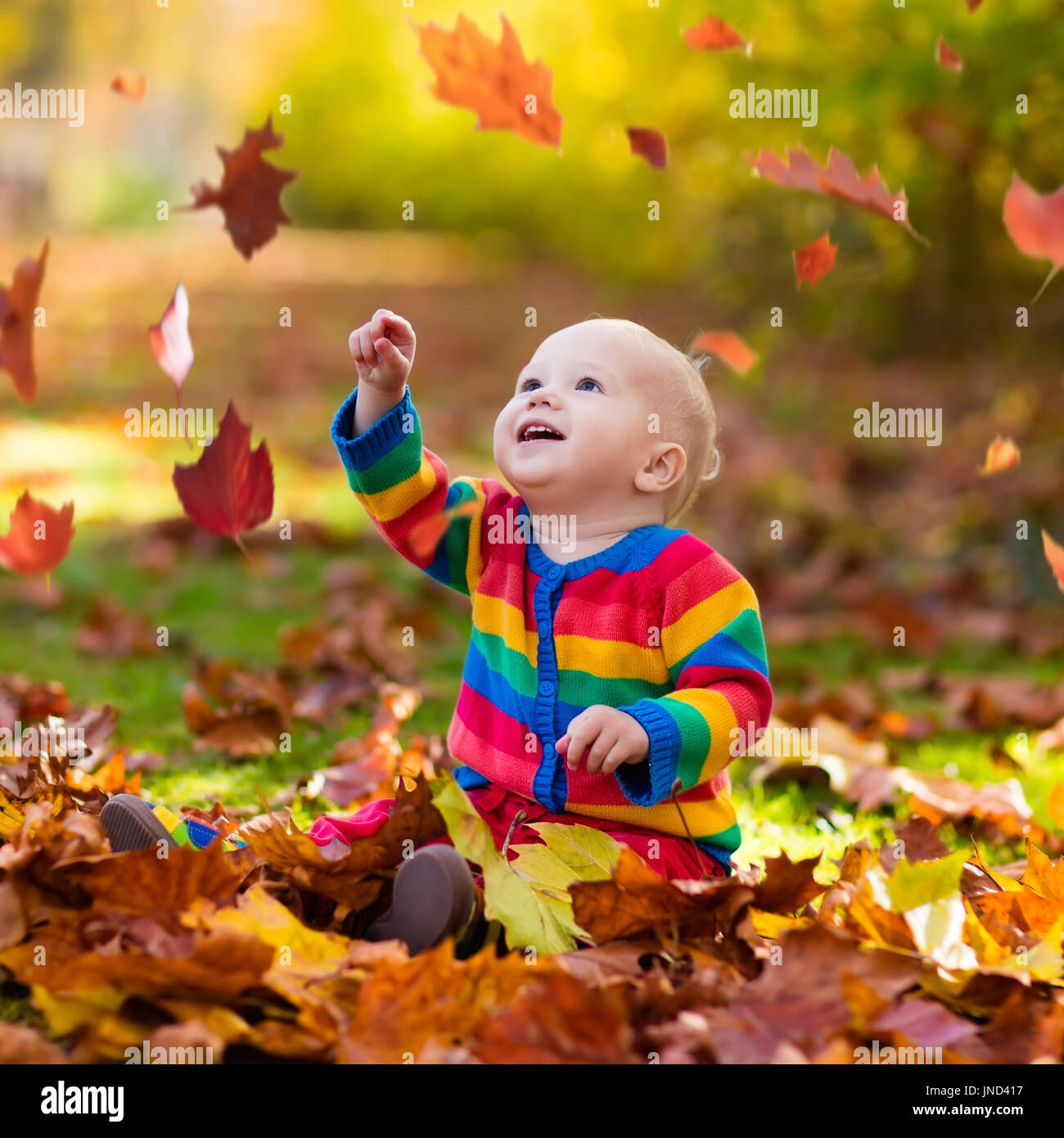 Kids play in autumn park. Children throwing yellow and red leaves.Baby ...