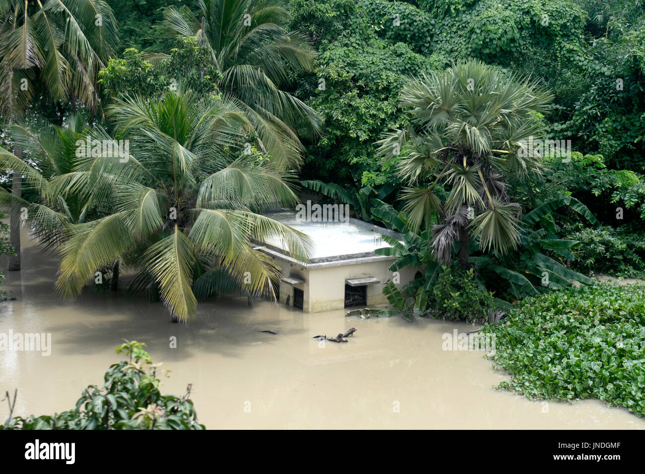 Ghatal, India. 29th July, 2017. View of flooded locality in Ghatal ...