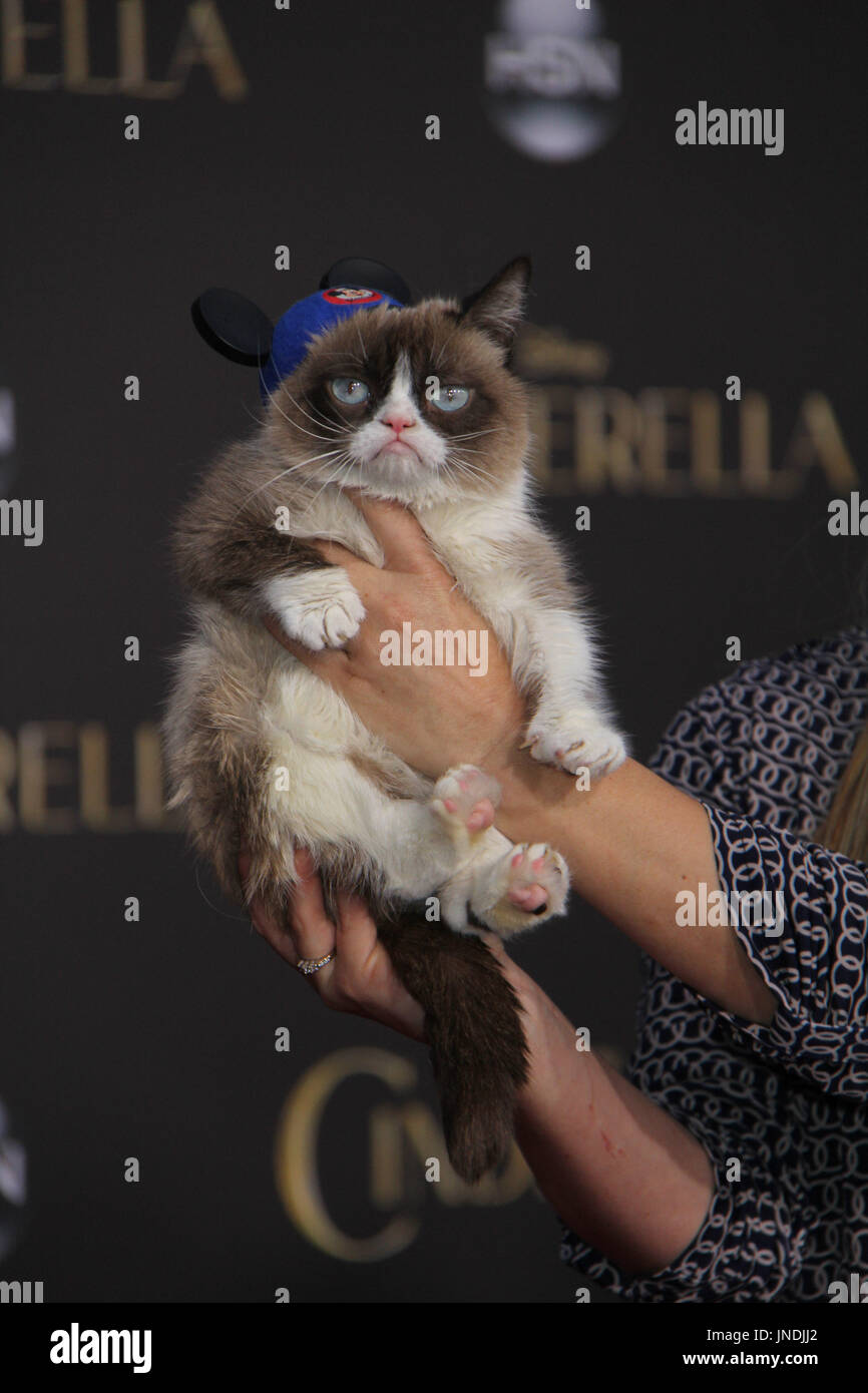 Grumpy Cat 03/01/2015 The World Premiere of "Cinderella" held at El ...