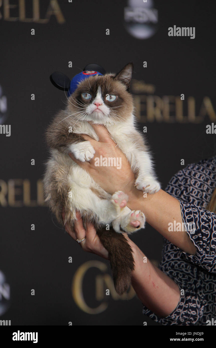 Grumpy Cat 03/01/2015 The World Premiere of "Cinderella" held at El ...