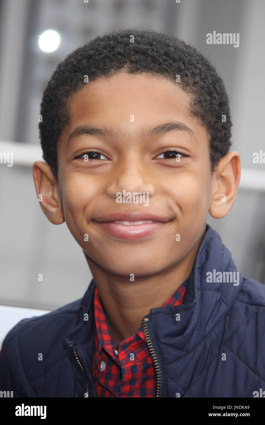 Sayeed Shahidi 03/22/2015 "Home" Premiere held at the Regency Village ...