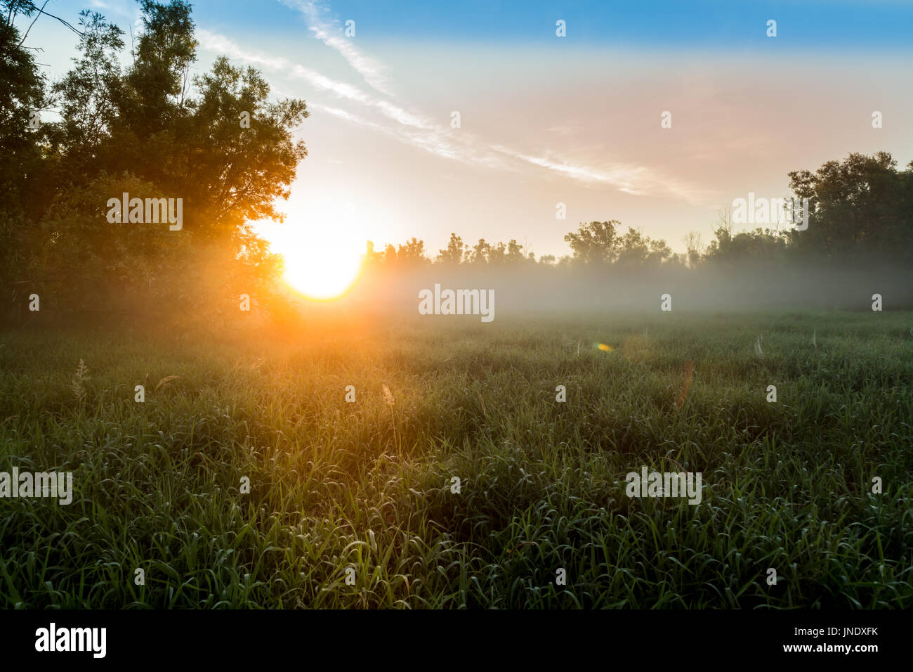 Field in morning sun hi-res stock photography and images - Alamy