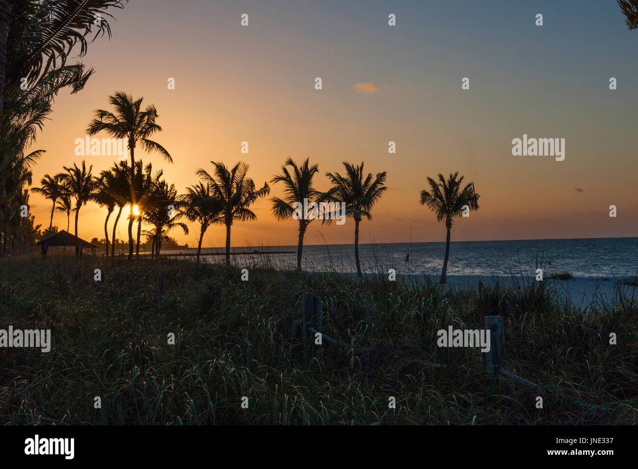 Ocean sunset palm trees hi-res stock photography and images - Alamy