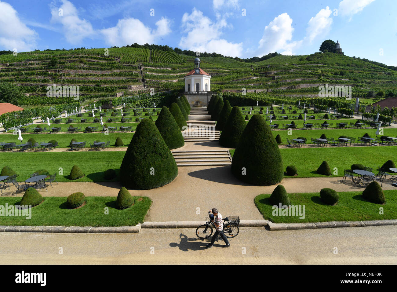 Radebeul, Germany. 27th July, 2017. A visitors can be seen in front of ...