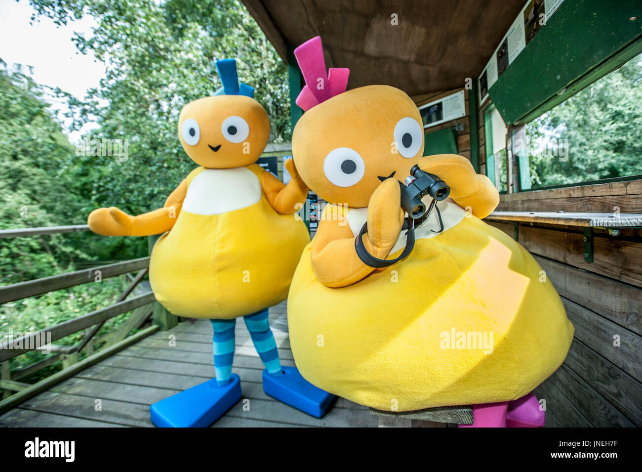 Cbeebies characters hi-res stock photography and images - Alamy