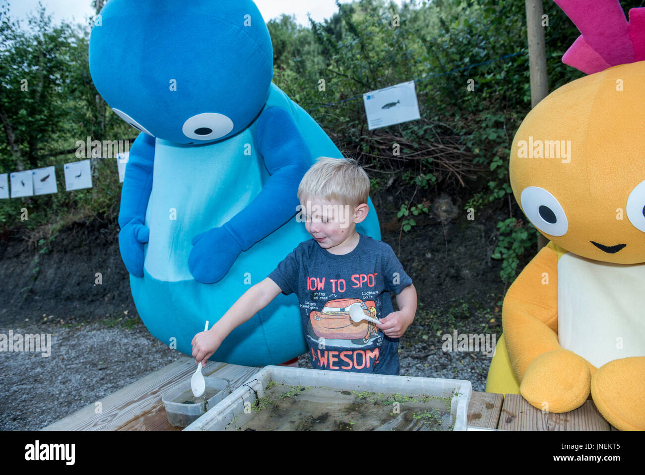 Cbeebies characters hi-res stock photography and images - Alamy