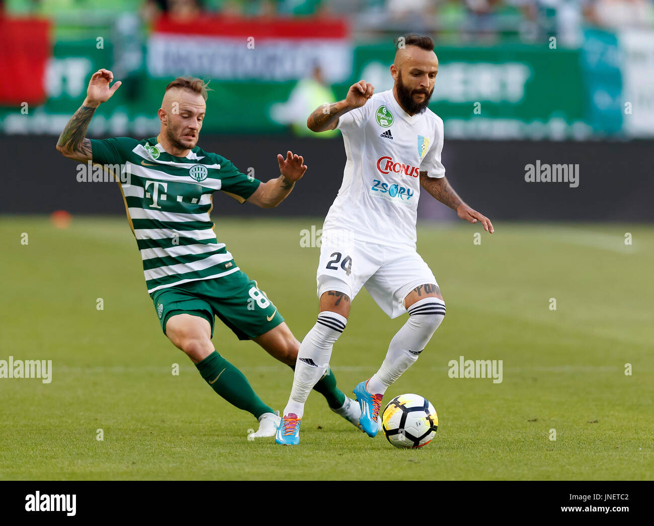 Tamas cseri hi-res stock photography and images - Alamy