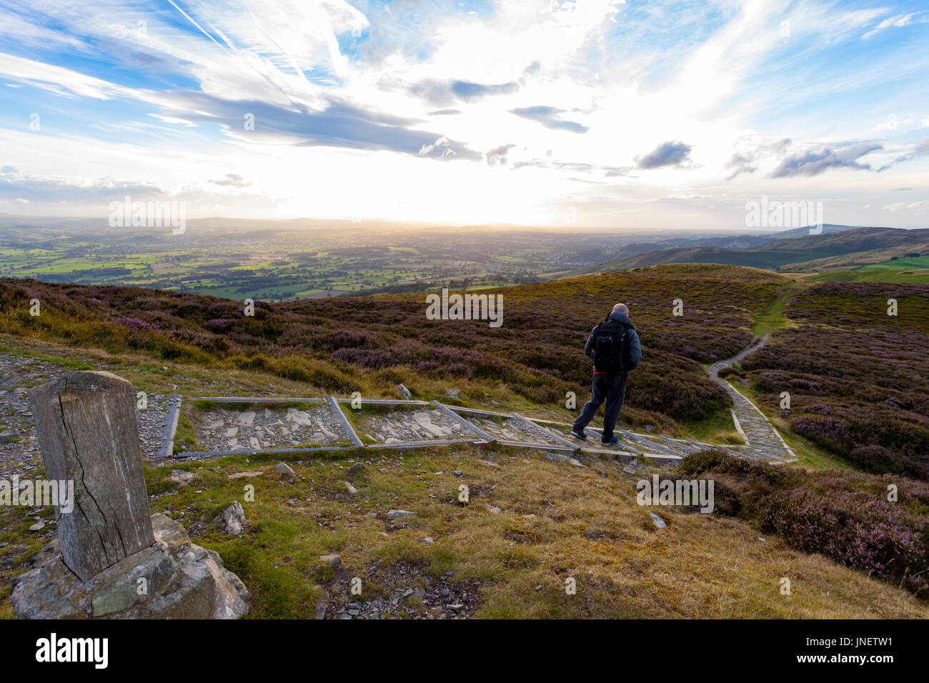 A male hill walker returning home along the Clwydian Range hills on the ...