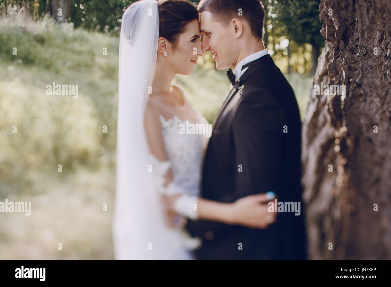 bride and groom Stock Photo - Alamy