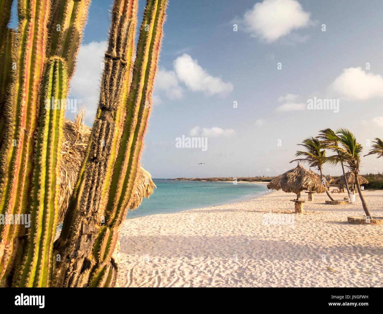 Arashi Beach Aruba High Resolution Stock Photography and Images - Alamy