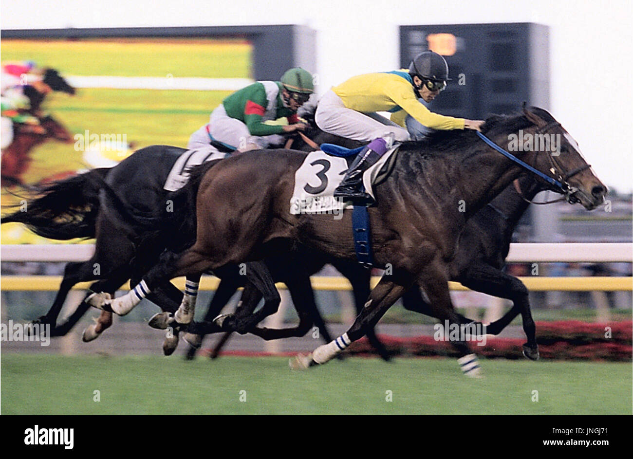 TOKYO, Japan - Top favorite Tanino Gimlet charges into the lead from ...