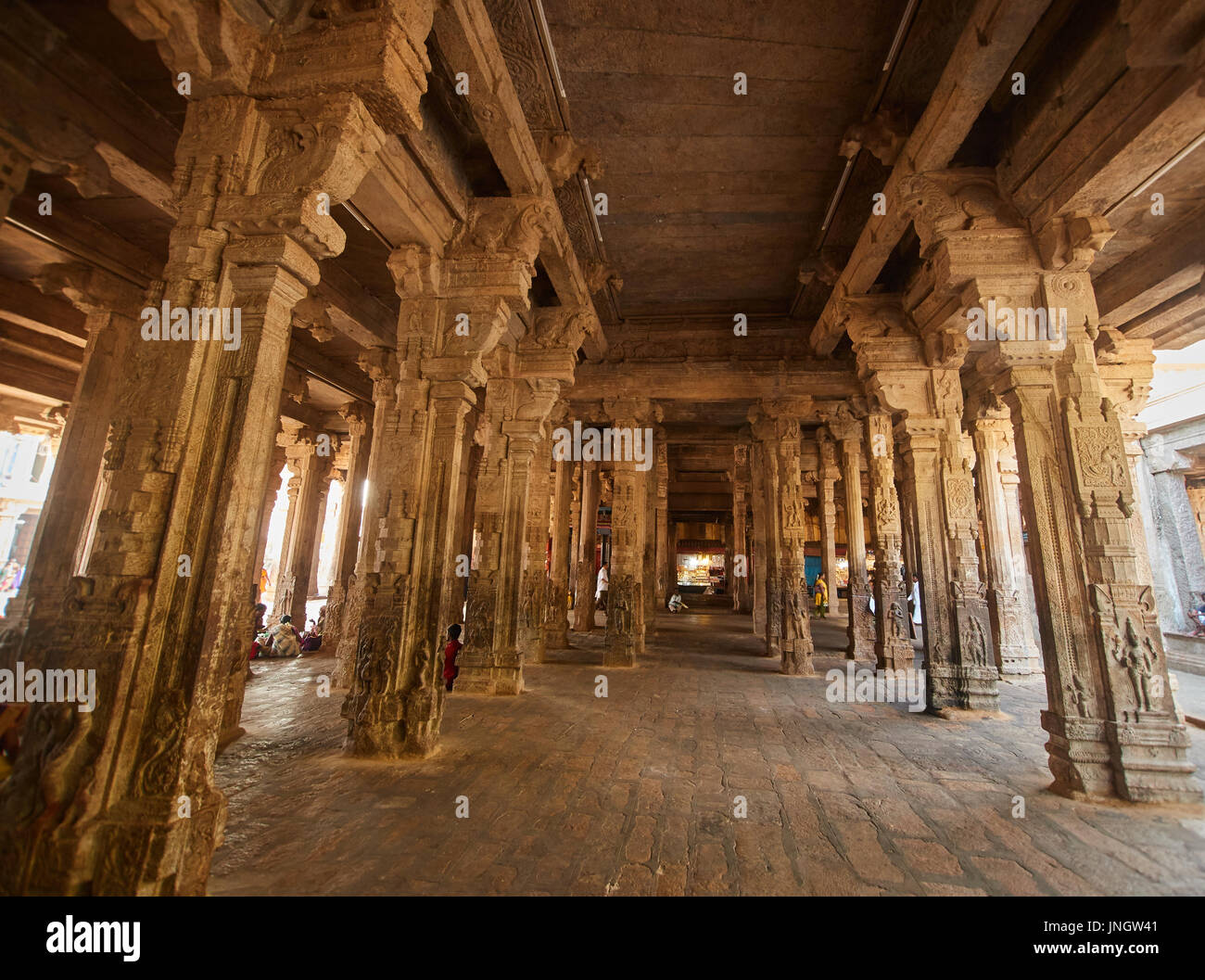 A South Indian Temple Gate or Gopuram, Sculptured columns of the Sri ...