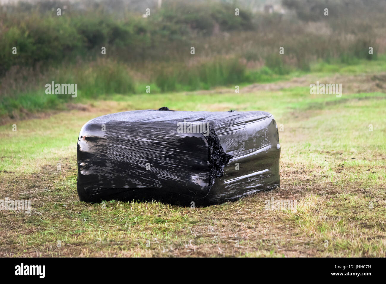 Wrapped bale hi-res stock photography and images - Alamy