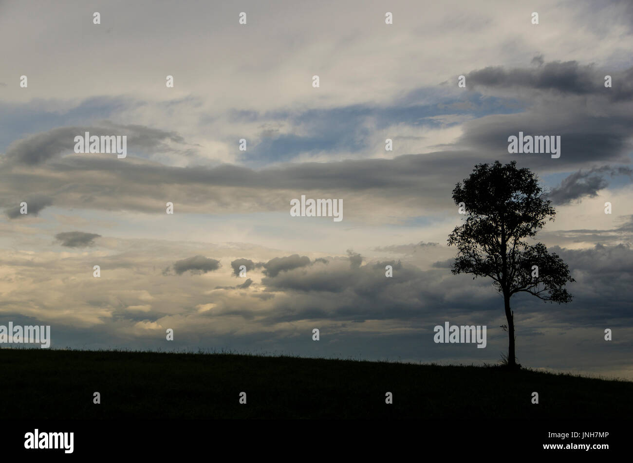 Cloud clouds cloudy field green landscape lonely nature wood hi-res ...