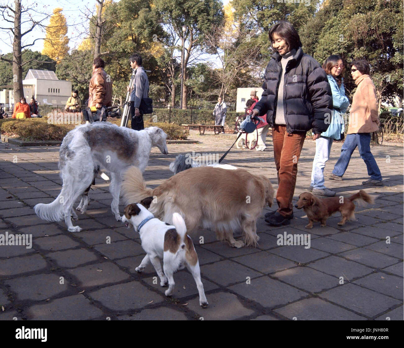 TOKYO, Japan - Dogs run free in a special area at Komazawa Olympic Park ...