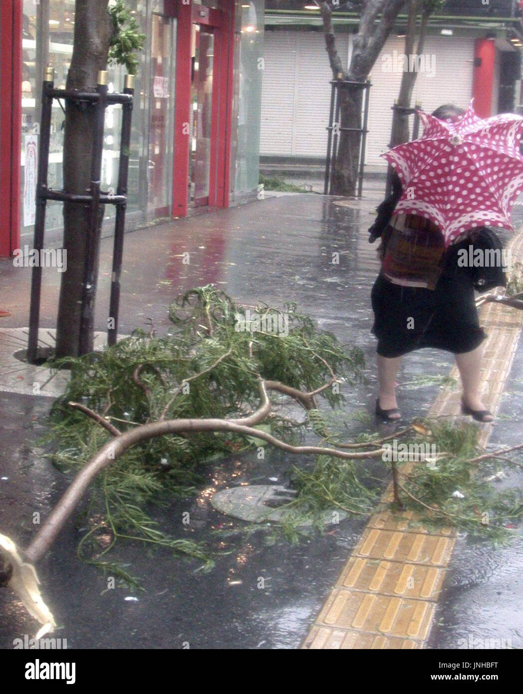 NAHA, Japan - Typhoon Etau, the season's 10th typhoon, fells a tree Aug ...