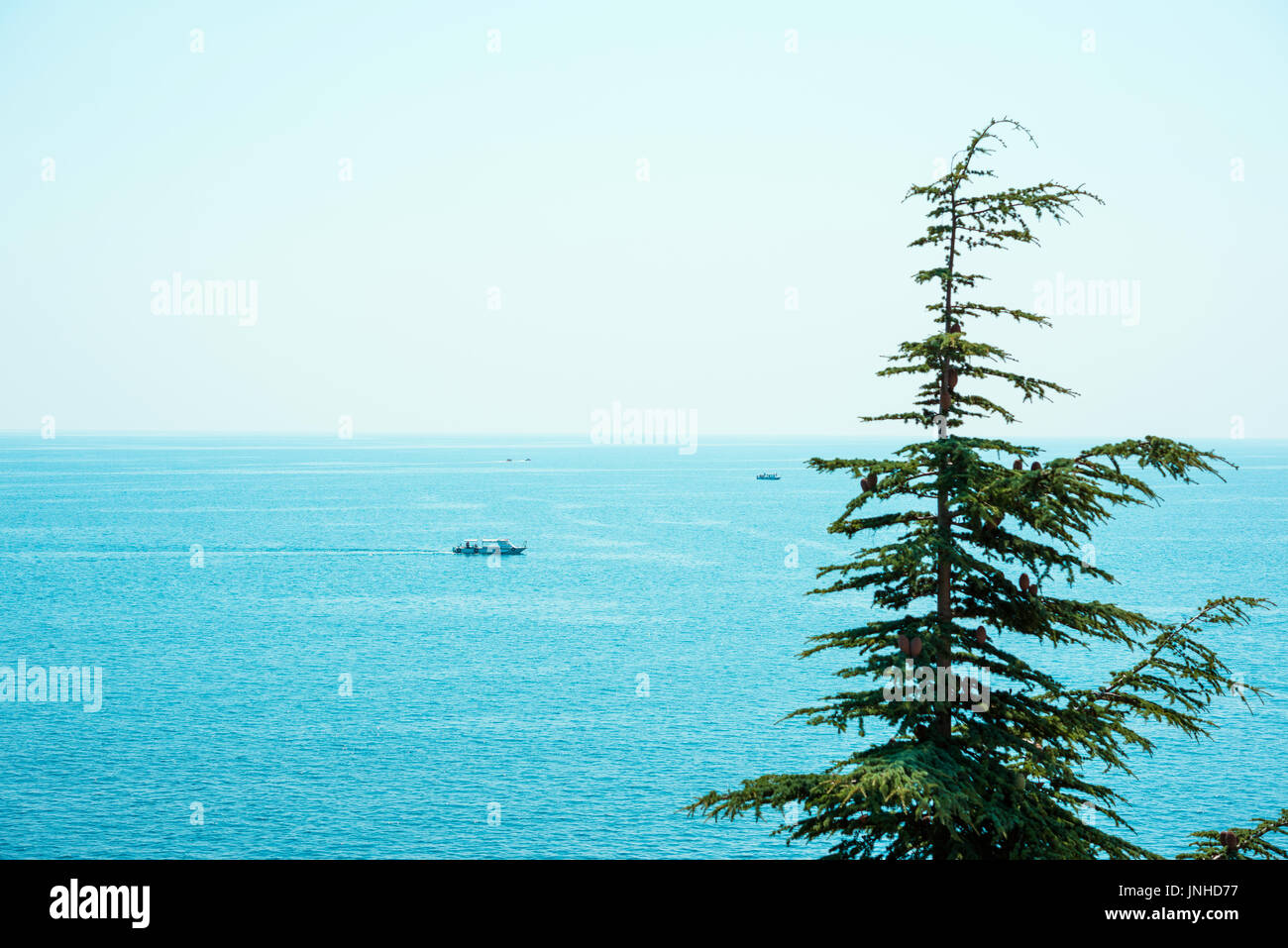 beautiful summer landscape Stock Photo - Alamy
