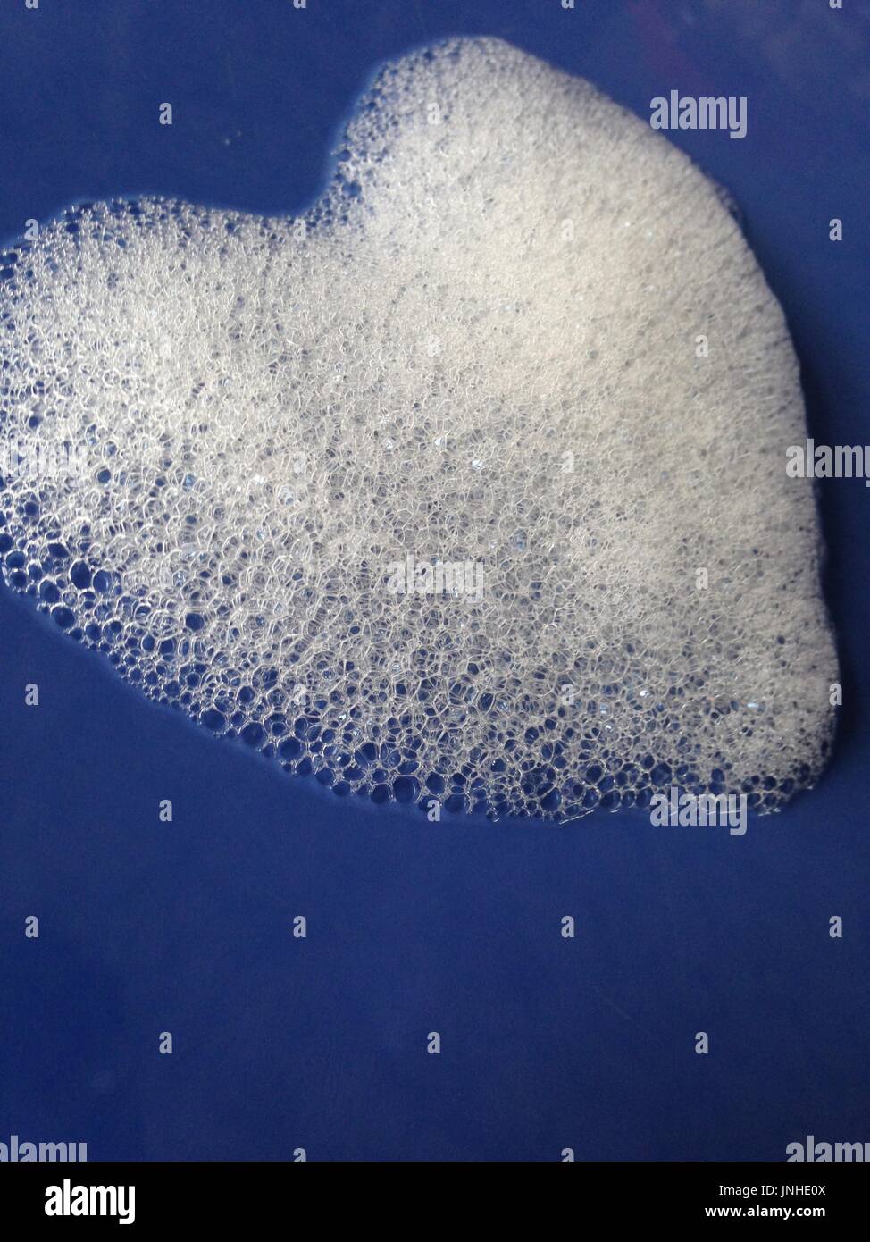 Sea Water Microscope