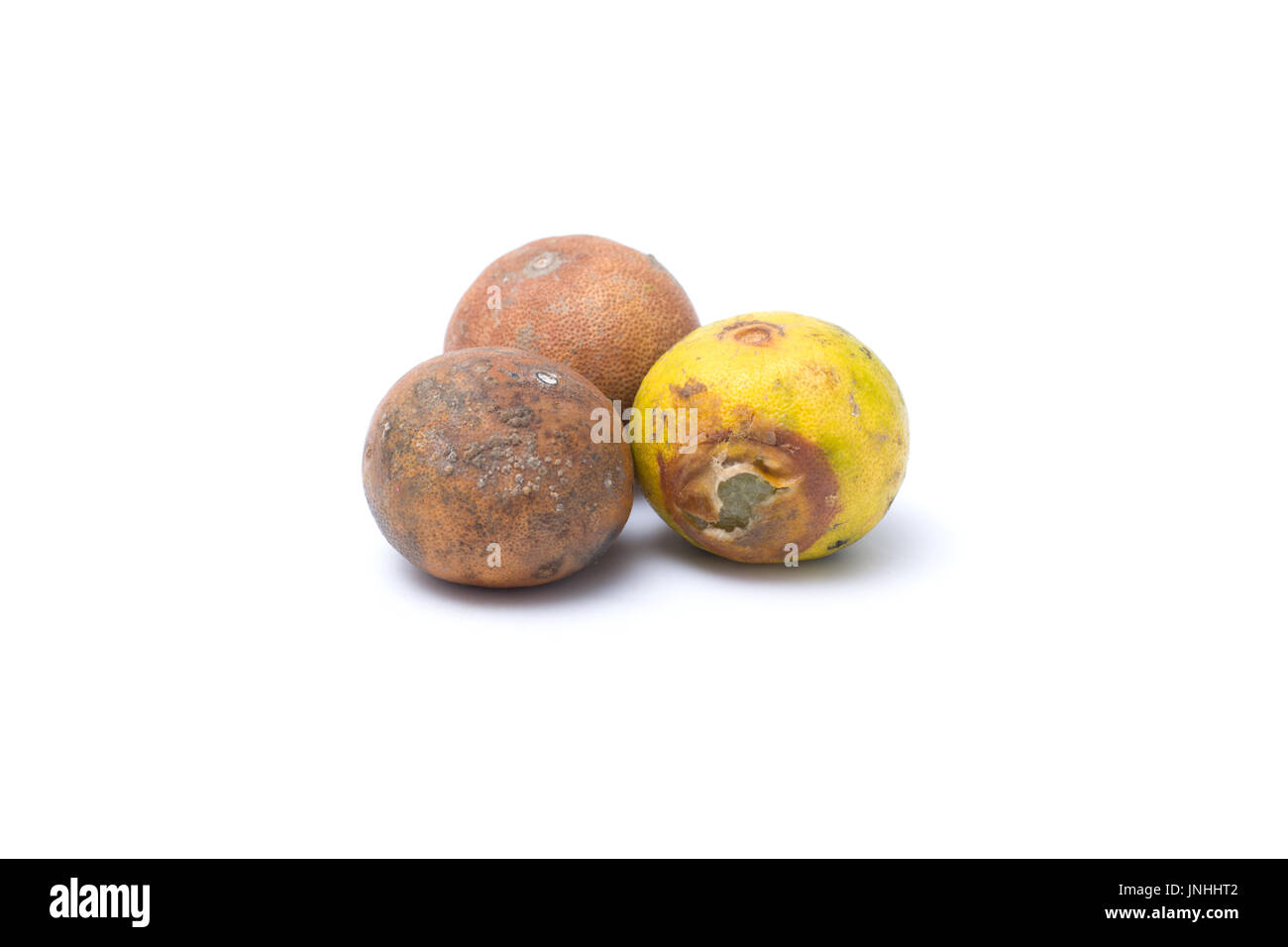 Rotten lemon isolated on white background Stock Photo - Alamy