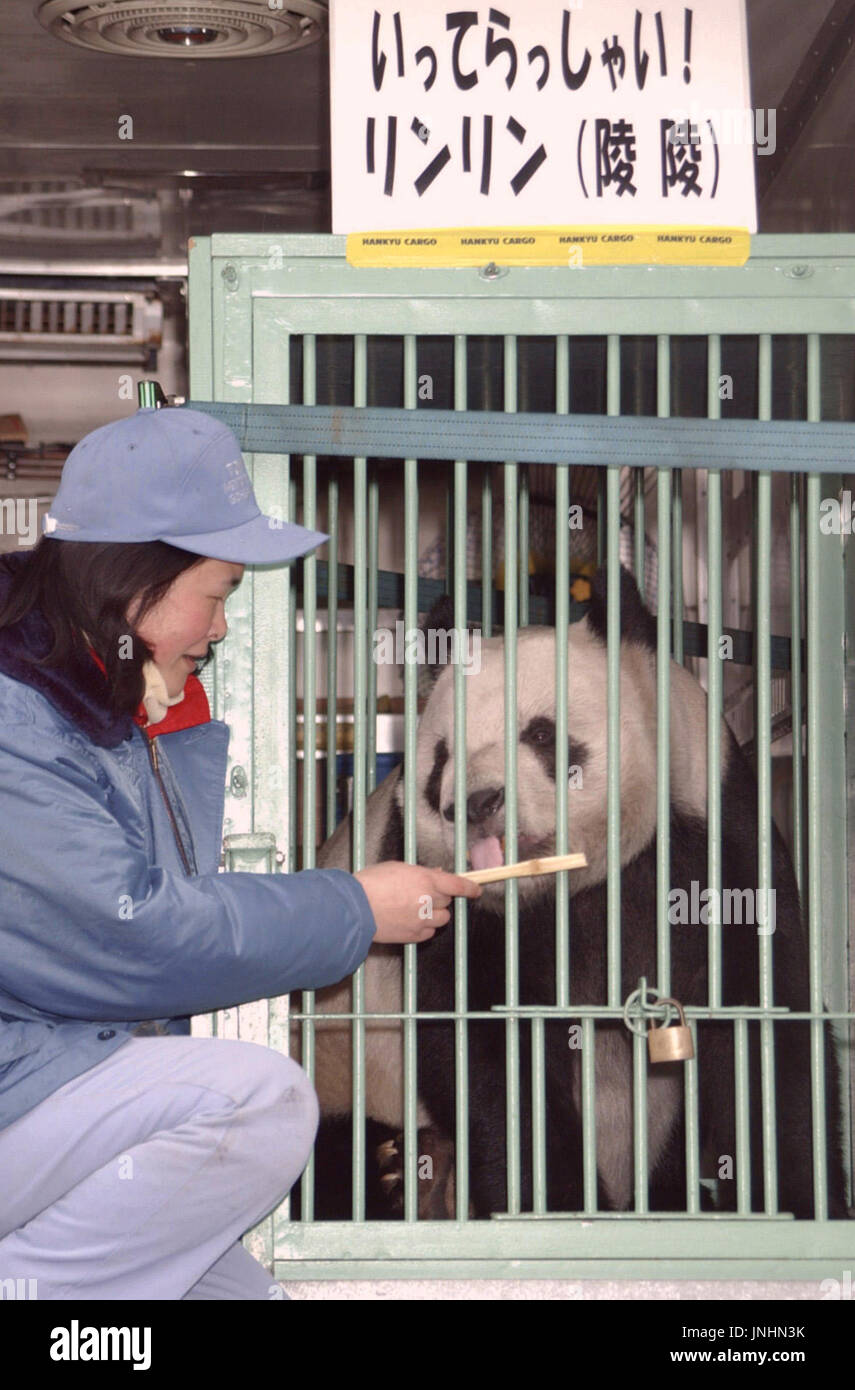 TOKYO, Japan - Ling Ling, the only giant panda at Tokyo's Ueno Zoo ...