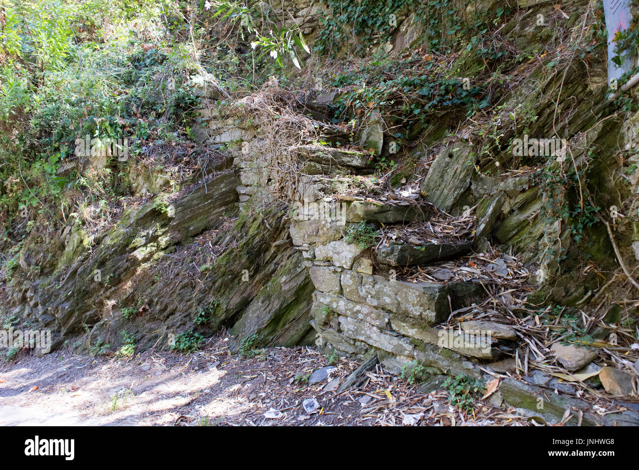 Old stone stair in Italy Vernazza Cinque Terre Stock Photo - Alamy