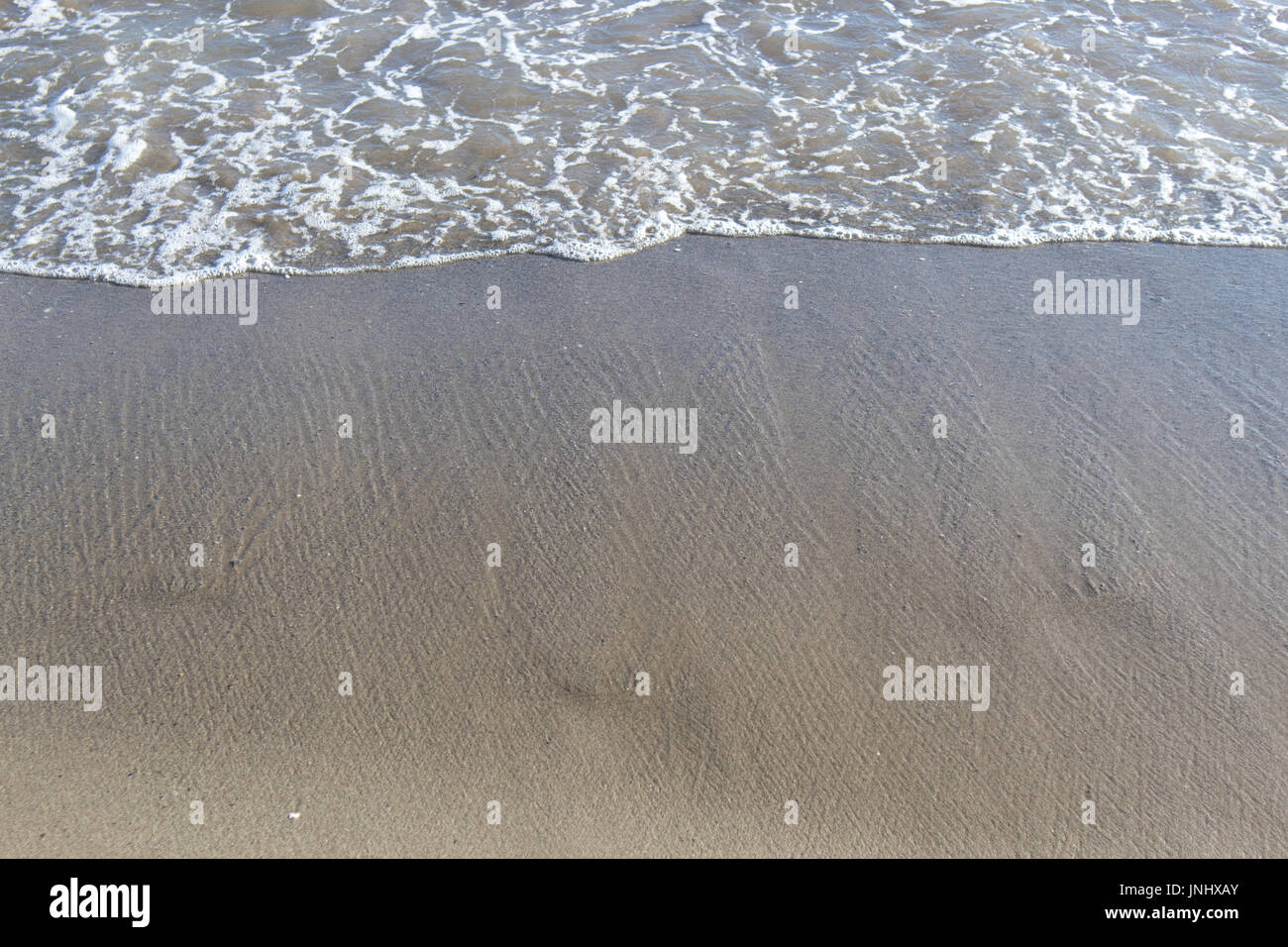 Seashell Impressions High Resolution Stock Photography and Images - Alamy