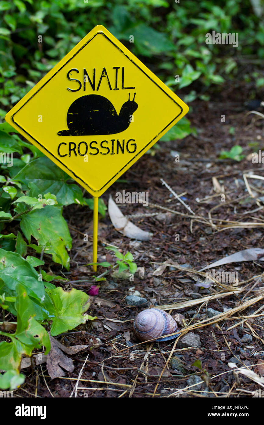 Caveat Symbol High Resolution Stock Photography and Images - Alamy