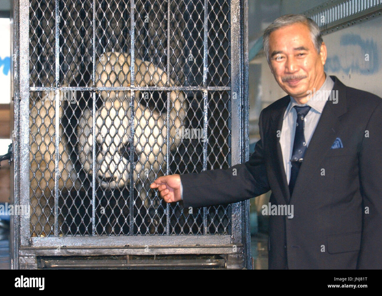 TOKYO, Japan - Shuan Shuan, a female giant panda from Chapultepec Zoo ...