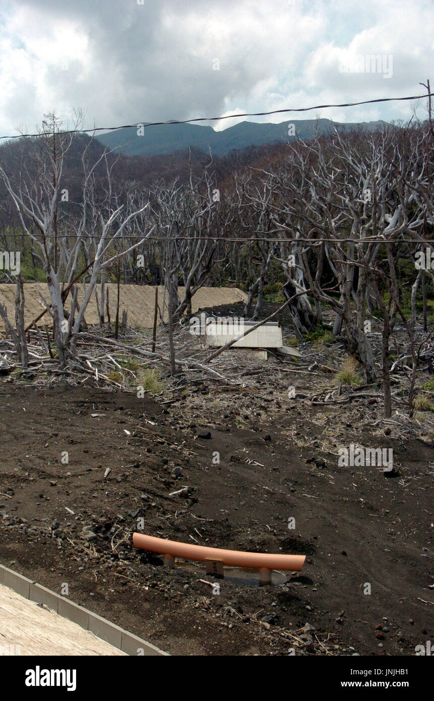 TOKYO, Japan - A shrine and its gate on Miyake Island remain buried ...