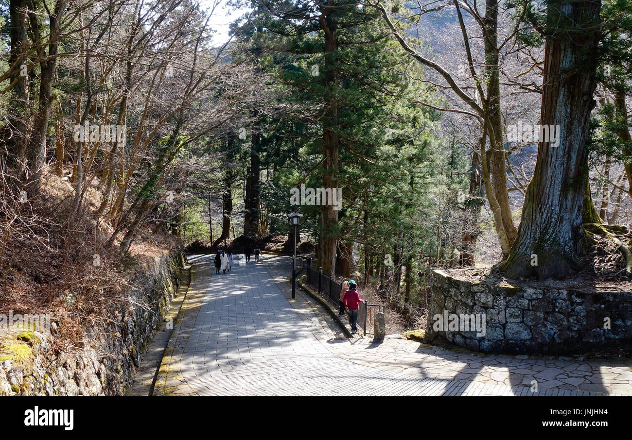 Nikko highway hi-res stock photography and images - Alamy