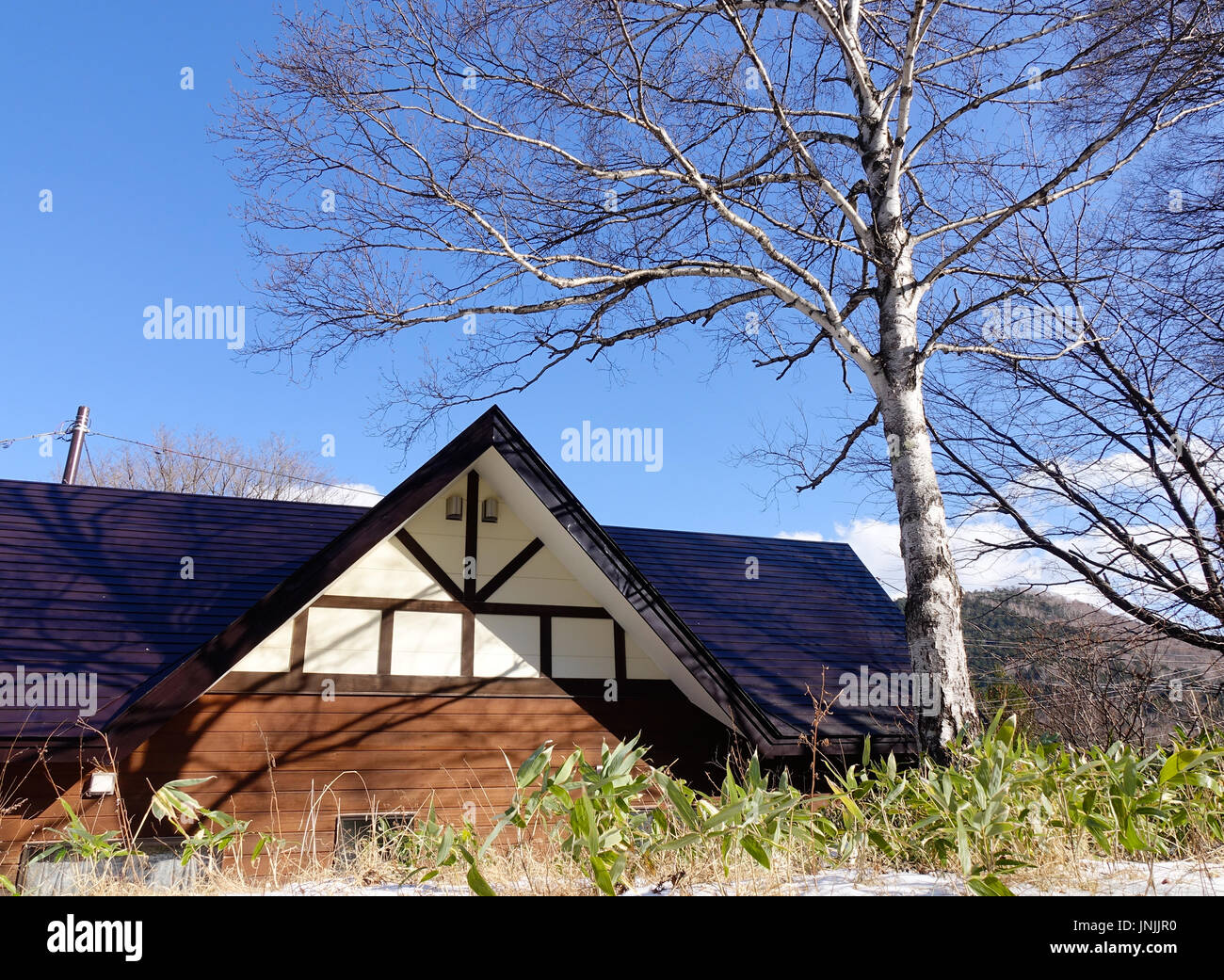 Scenes nikko japan hi-res stock photography and images - Alamy