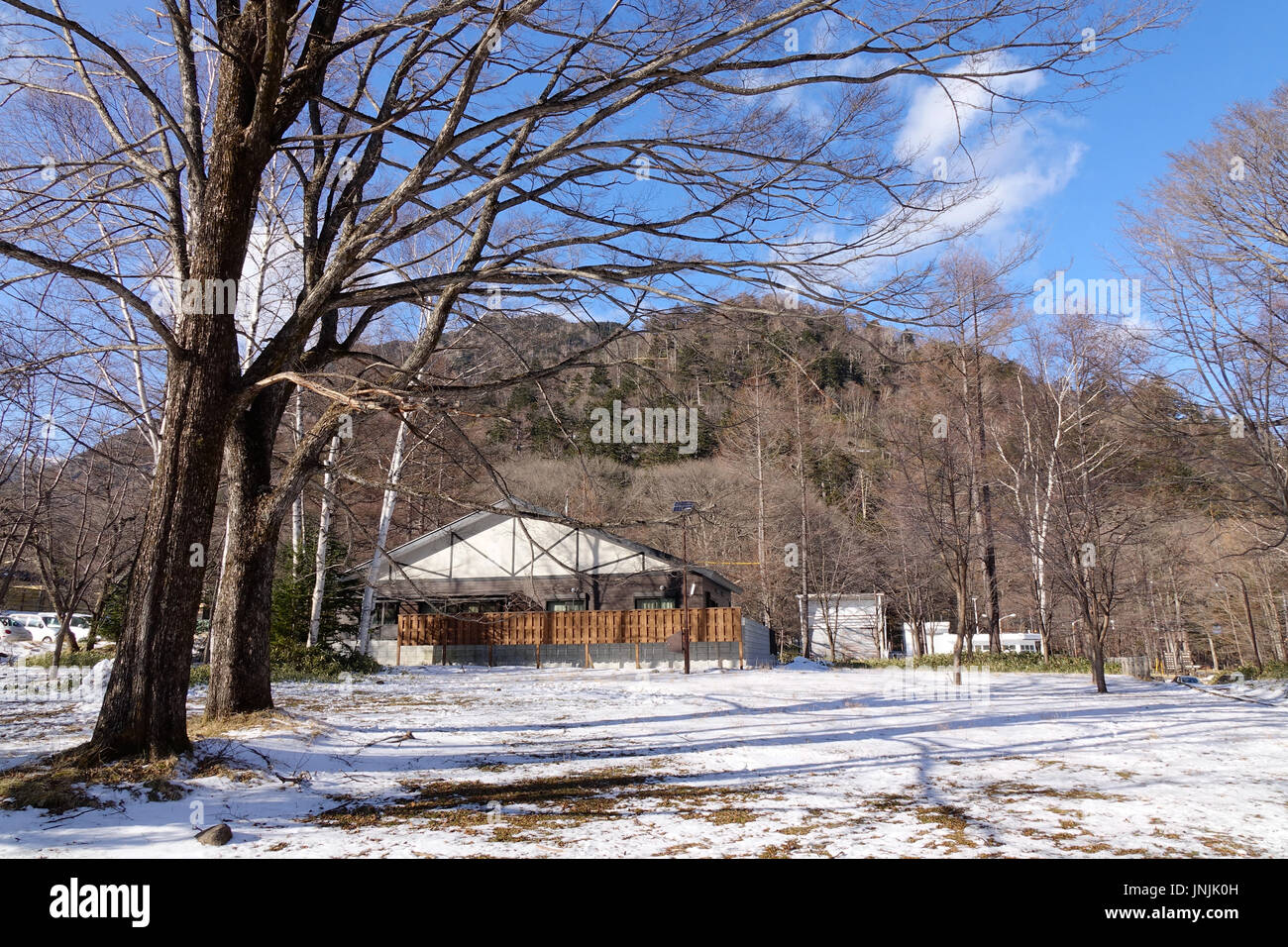 Landscape of mountain at winter in Nikko, Japan Stock Photo - Alamy