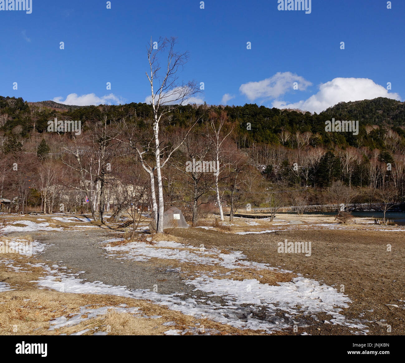 Landscape of forest with dried grass at winter in Nikko, Japan Stock ...